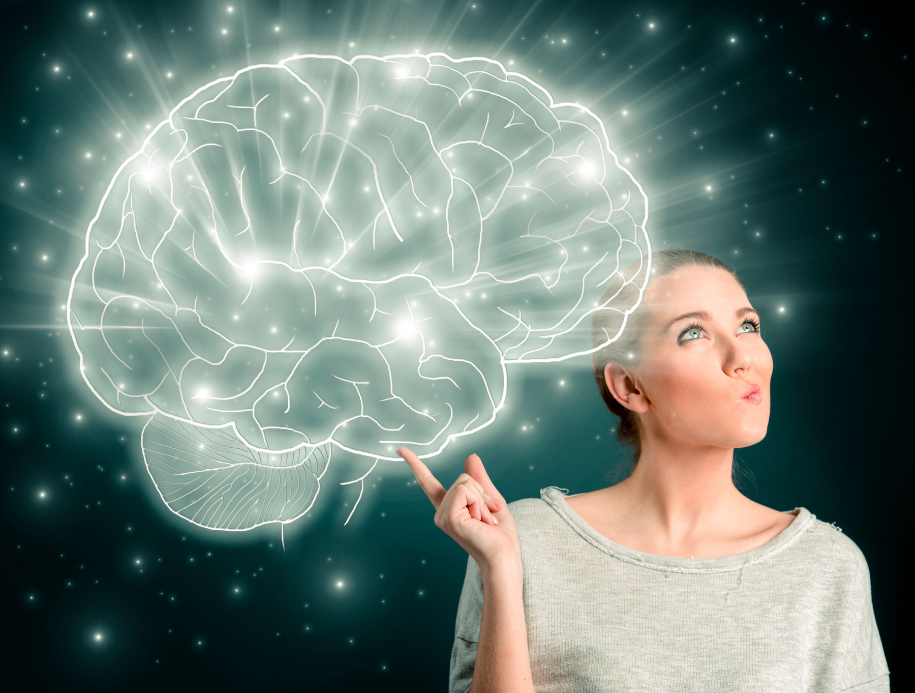 Brain Bootcamp Program - Learning Dynamics, Inc.